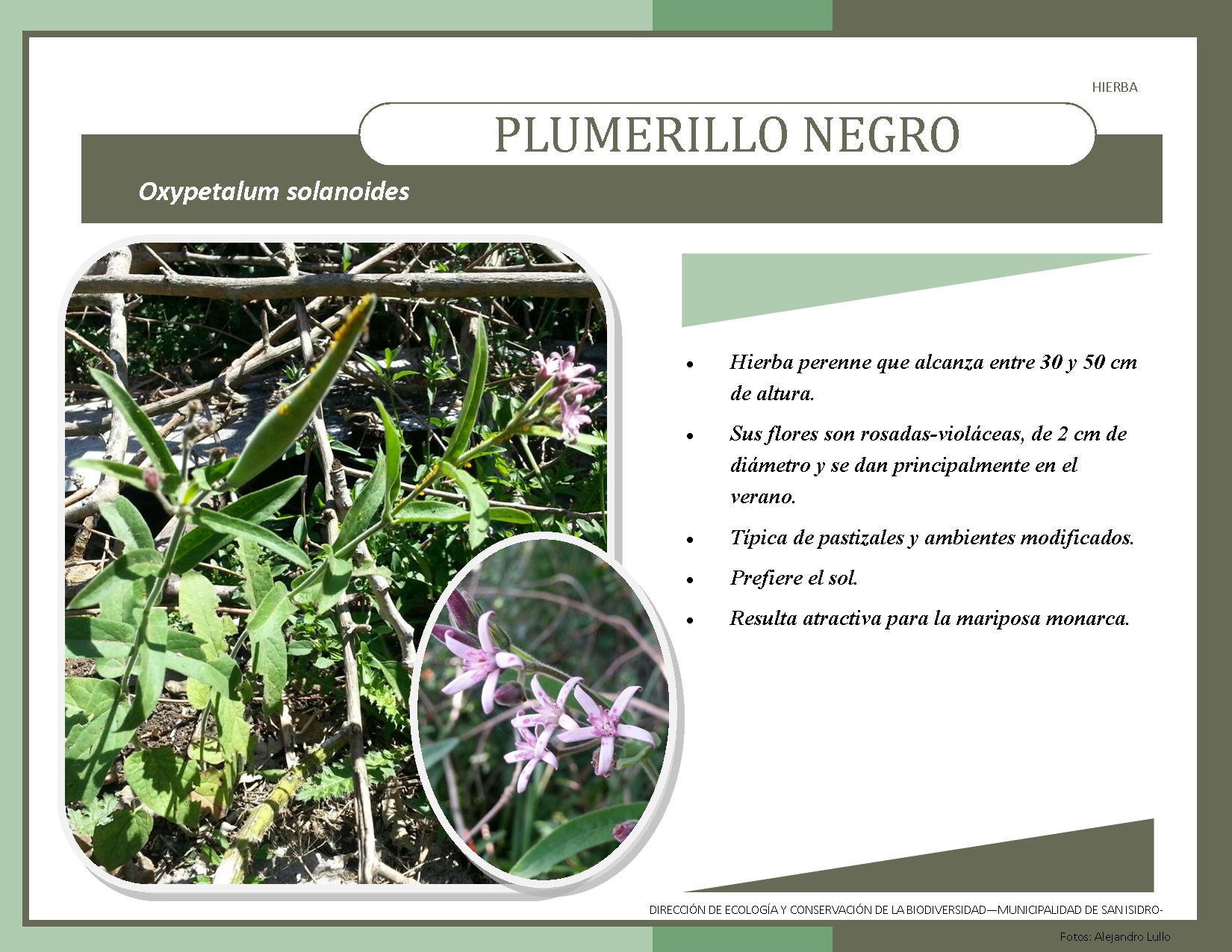 Fichas de Plantas Nativas - Dirección de Ecología y Conservación de la ...