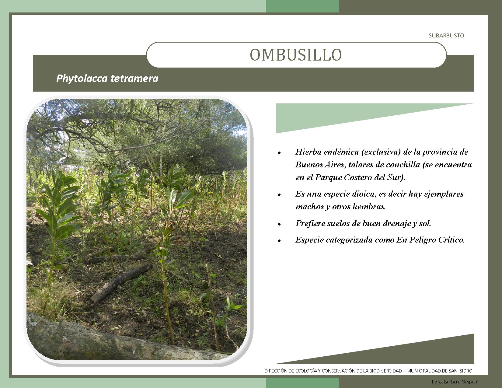 Fichas de Plantas Nativas - Dirección de Ecología y Conservación de la ...